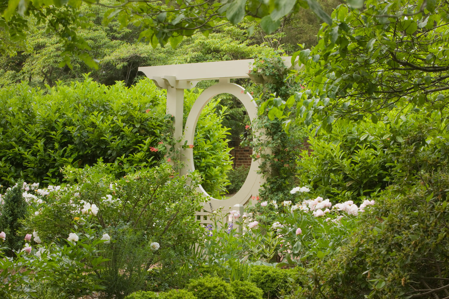 3north Receives VA-ASLA Residential Honor Award • 3North